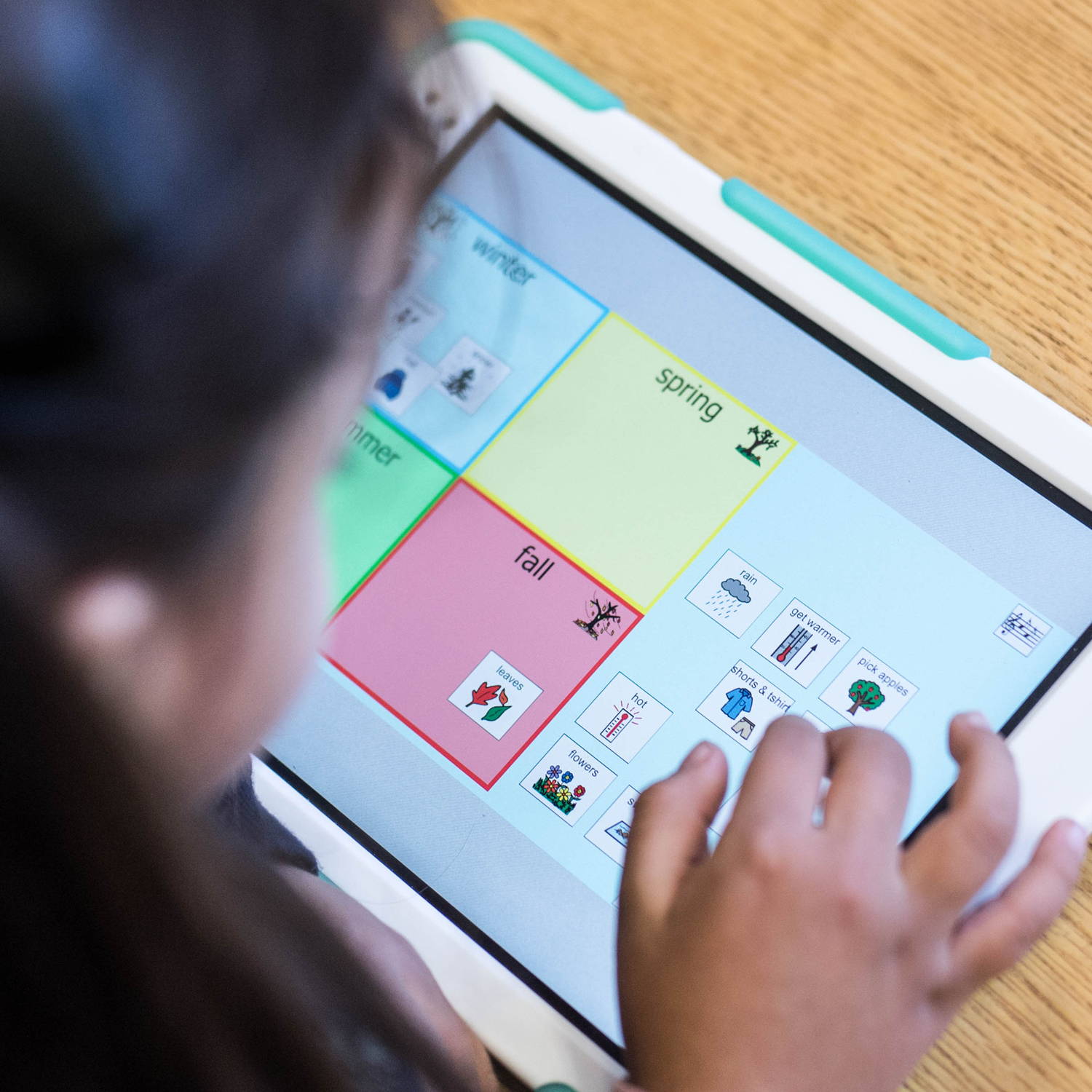Boardmaker Online Professional