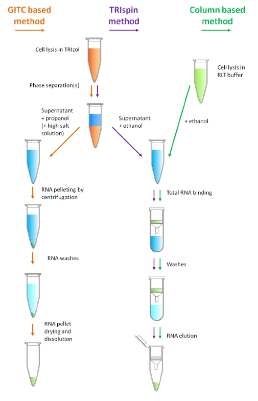 Lysis Buffer Recipe For Rna Extraction | Deporecipe.co Lysis Buffer Recipe For Rna Extraction | Deporecipe.co