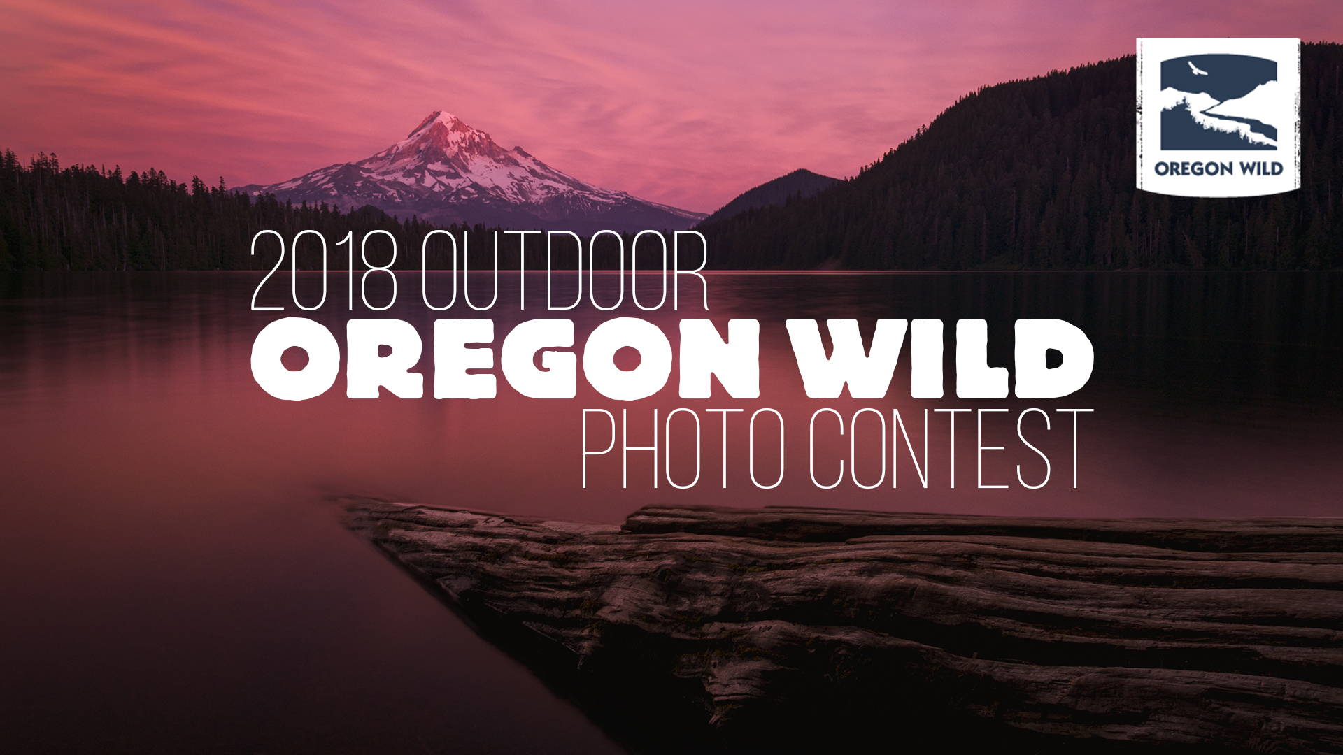 Photo Contests — Pro Photo Supply