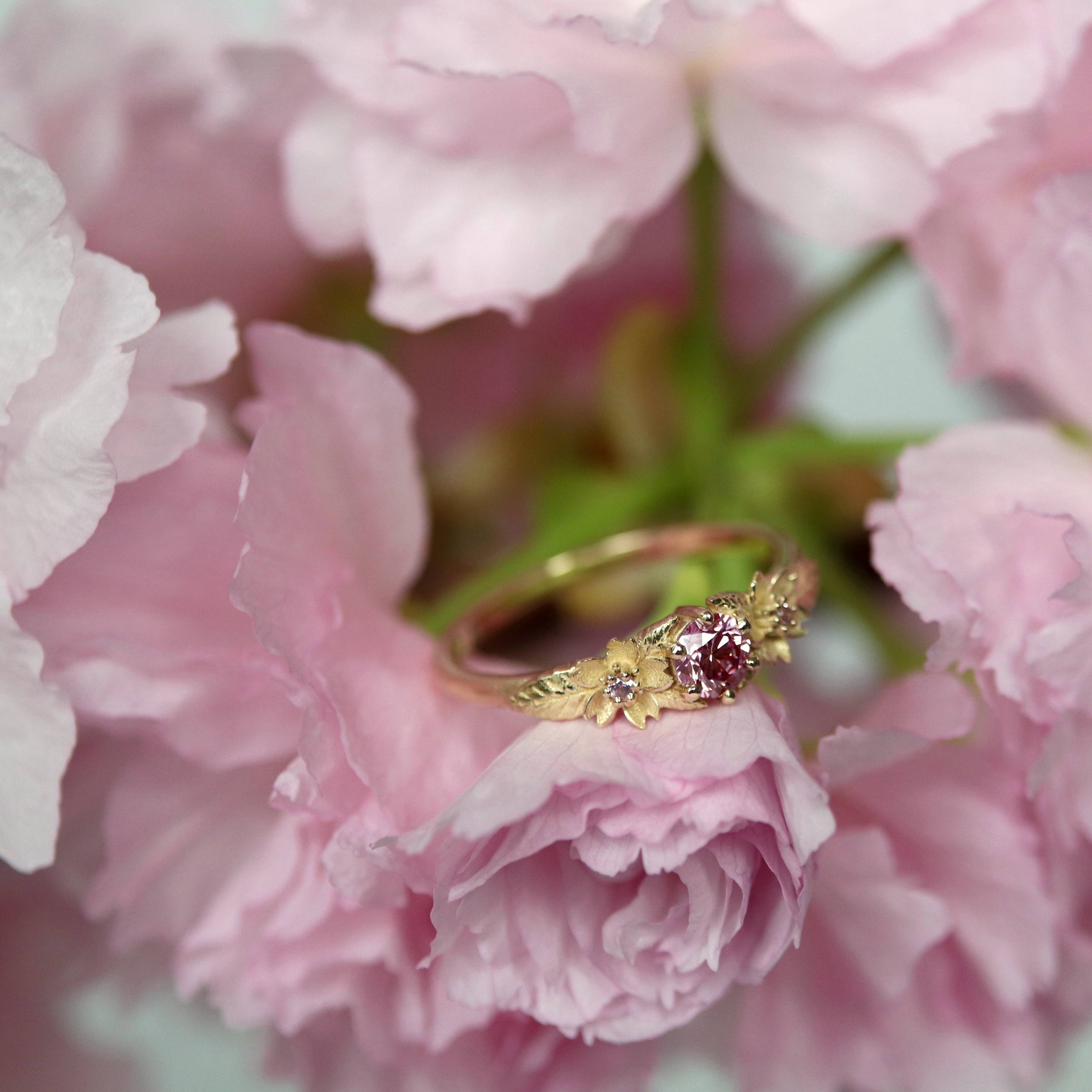 Sakura Collection – Soulbound Sakura Collection – Soulbound