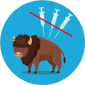 Bison Trifecta– The Wellness Company