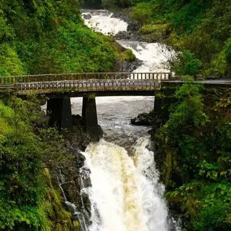 Hana & Land Tours – excursionshawaii
