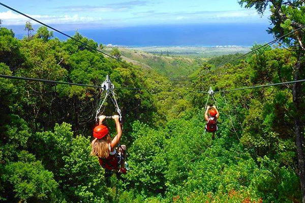 Maui Zipline Tours – excursionshawaii
