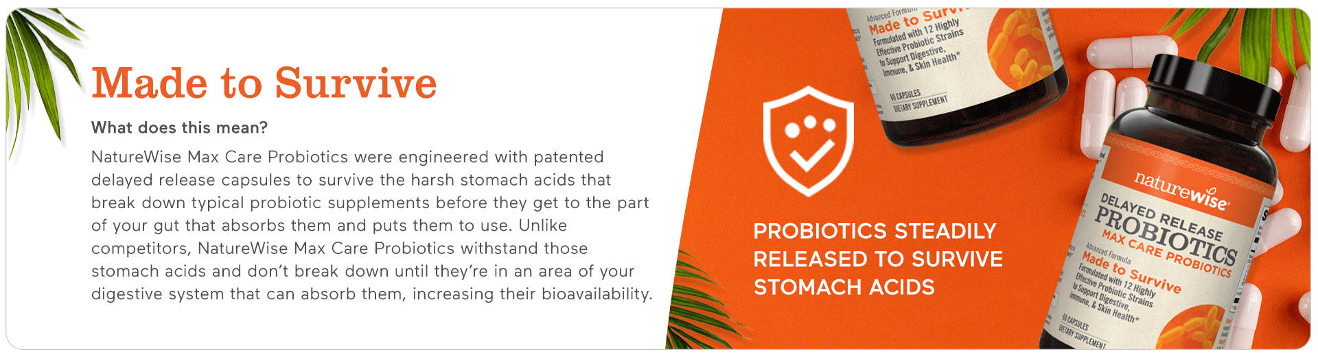 Max Care Probiotics – NatureWise