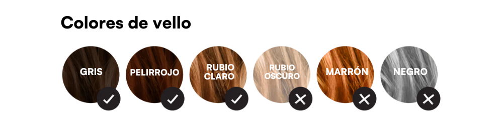 Lumer Pro – EGGO España