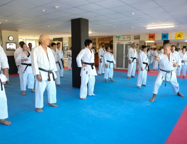 Gallery – Keith Geyer Karate