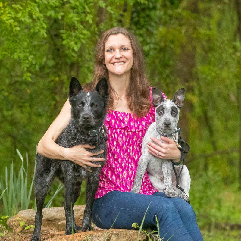 Meet the Team – AnimalBiome Veterinary