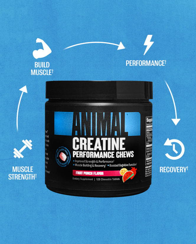 Men's Foundational Stack – Animal Pak