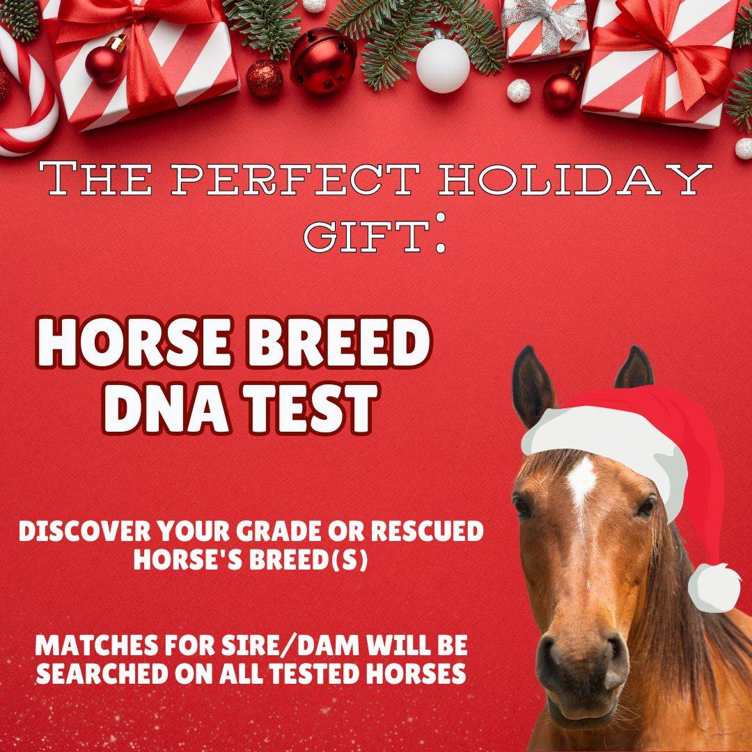 DNA My Horse Australia – DNA My Horse AU
