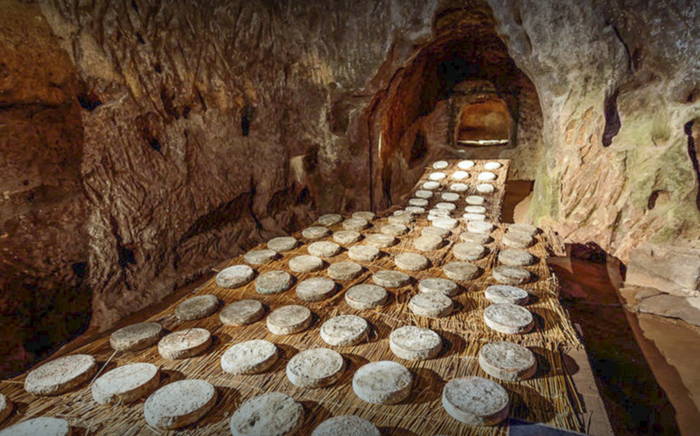 Making Traditional Saint Nectaire | Cheese Making Supply Co.