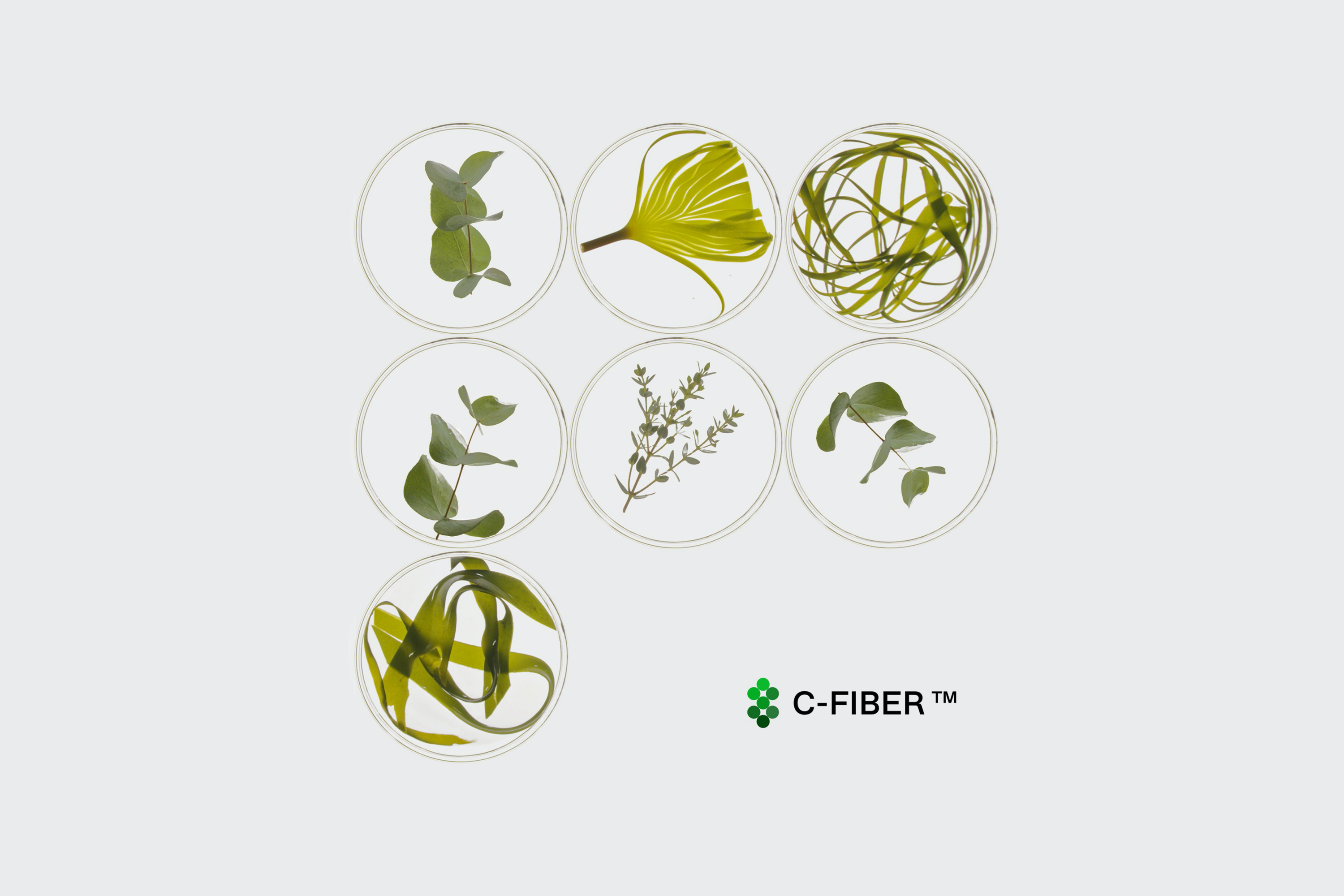C-FIBER™: Biobased fiber made of Eucalyptus pulp & Seaweed – Tales of ...