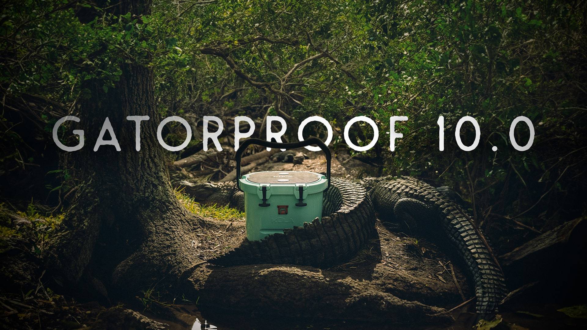 BOTE Presents // Gatorproof 10.0 | BOTE
