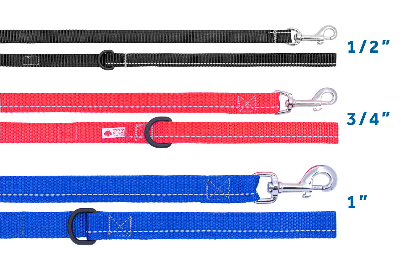 Primary Leash 4'