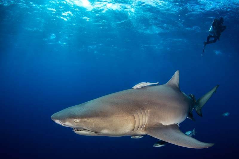 Bluewater Photo Special Deals & Top Picks