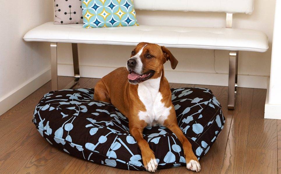 Kirkland Dog Bed Replacement Cover 42 Inch Round Beds Molly Mutt
