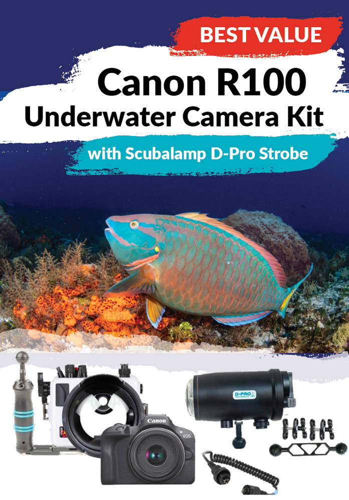 Bluewater Photo Special Deals & Sales