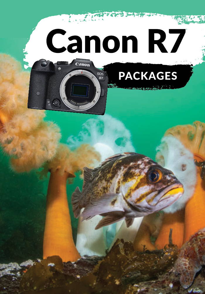 Bluewater Photo Special Deals & Sales