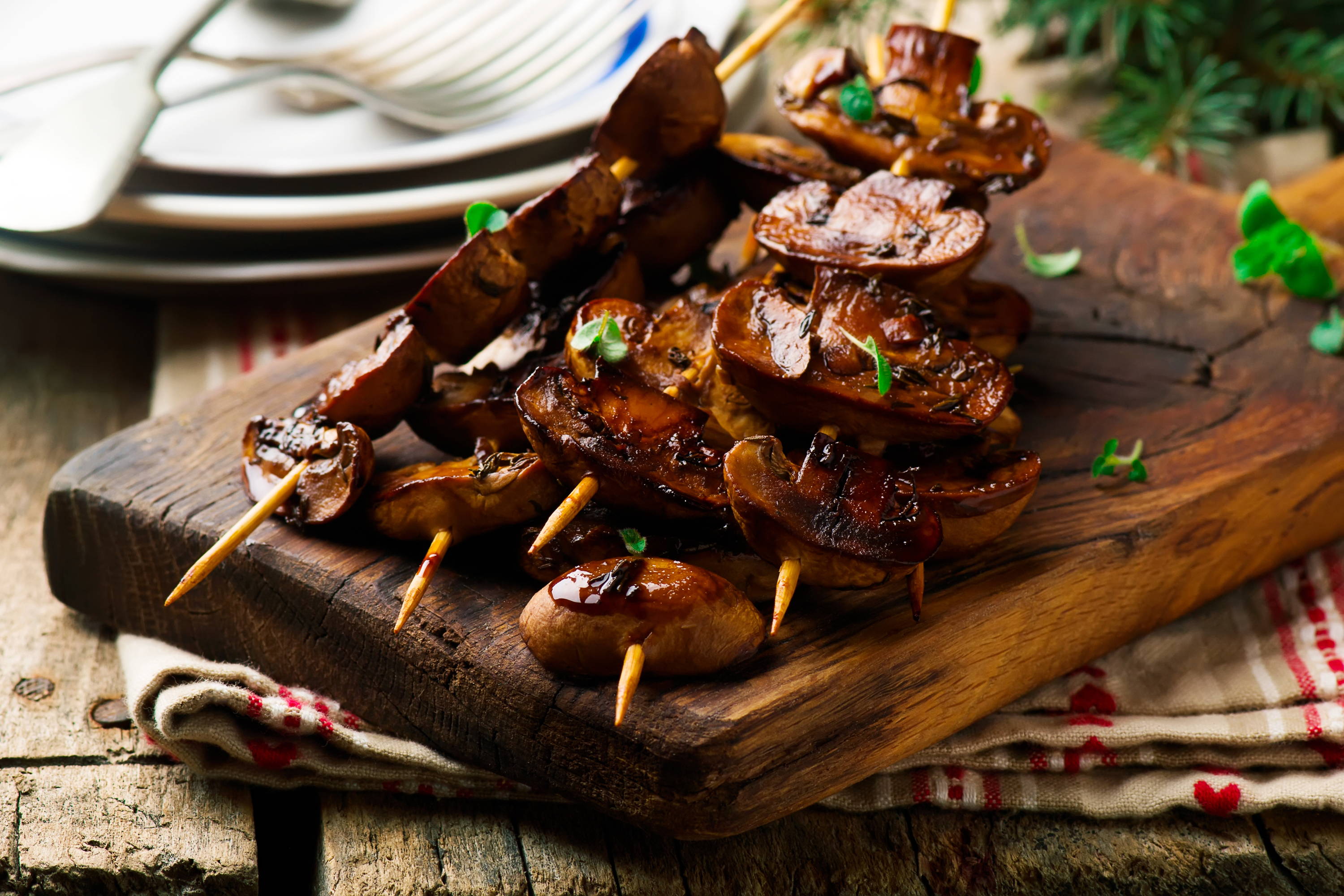 Mushrooms as a Sustainable Meat Replacement | North Spore