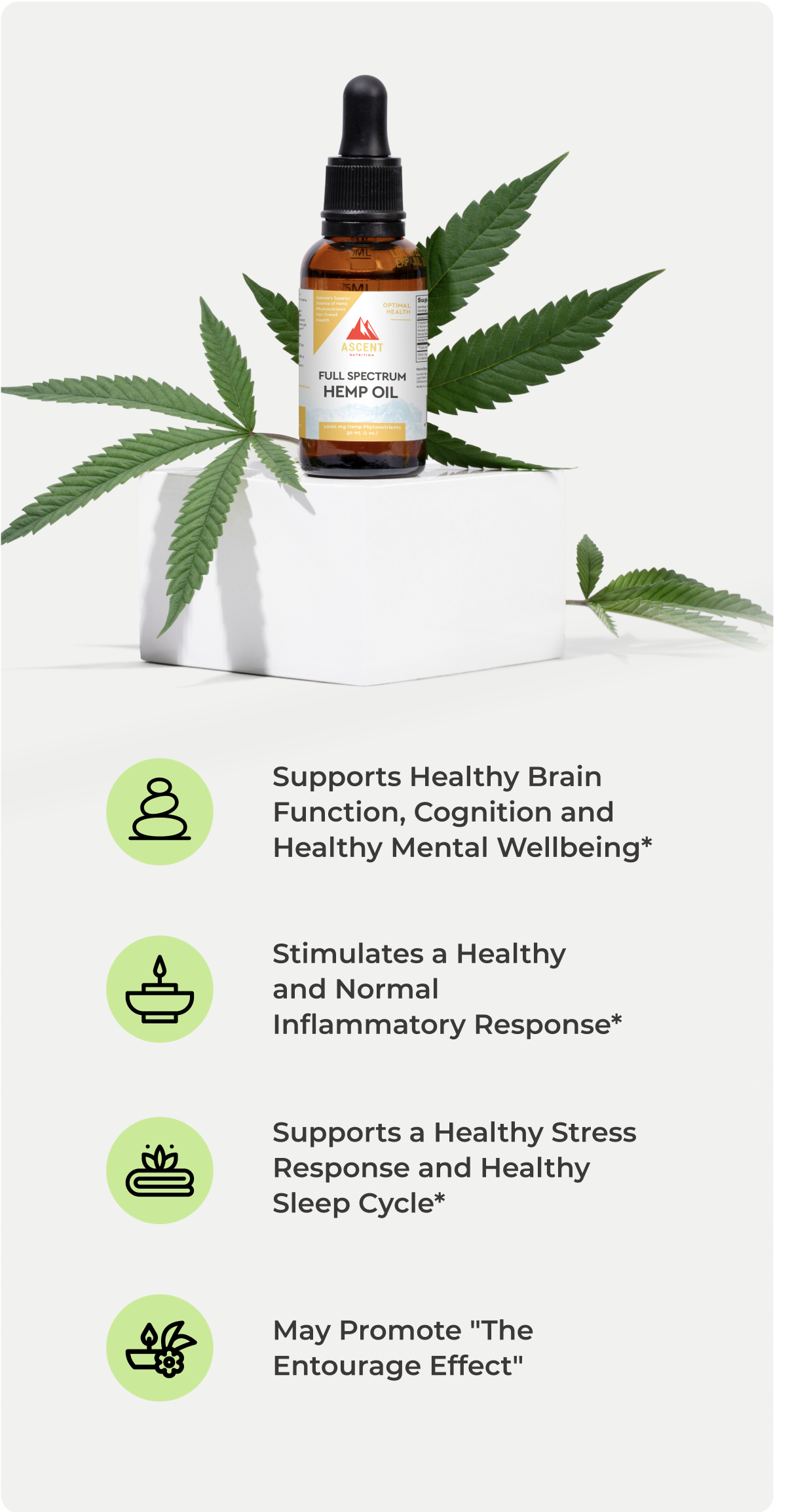 Ascent Nutrition Full Spectrum Hemp Oil - Gold Standard In Hemp ...