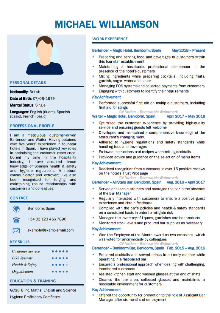 Example Of A Cv The 20 Best Cv And Resume Examples For Your 