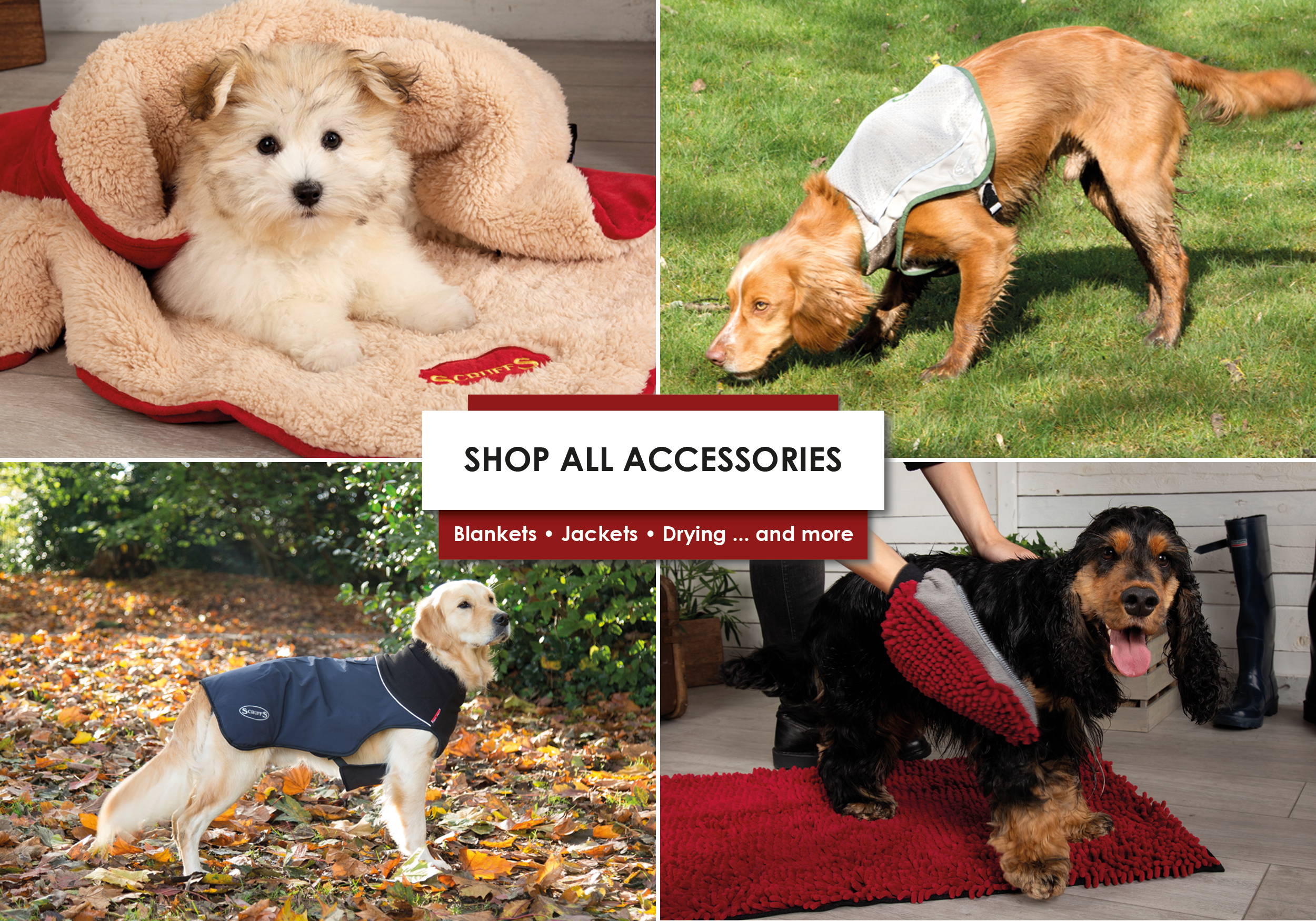 Scruffs® Luxury Dog Beds | Official Store — petslovescruffs