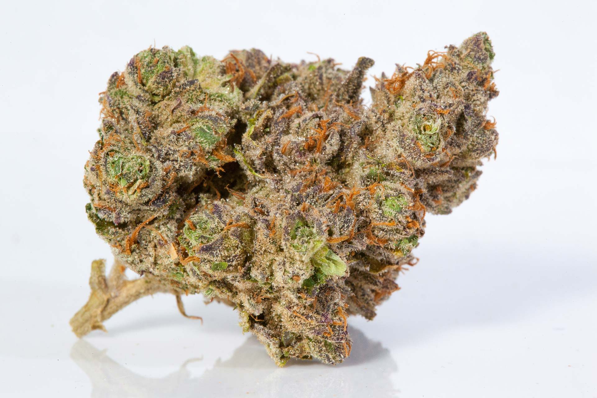 Stardawg Strain | Stardog Marijuana Strain - Fresh Bros Hemp Company Stardawg Strain | Stardog Marijuana Strain - Fresh Bros Hemp Company