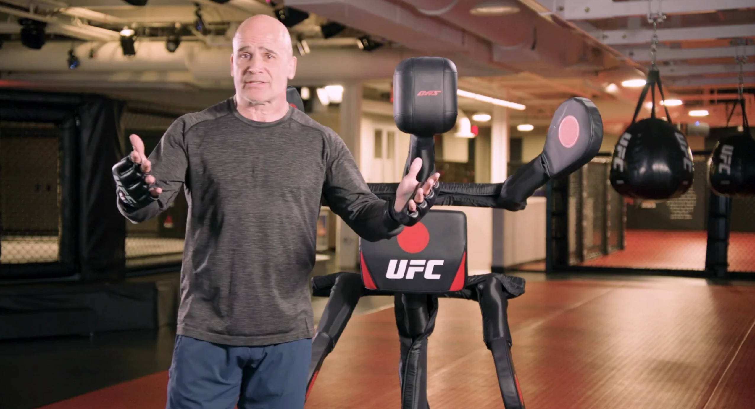 Karate Trainer – UFC BAS Body Action System