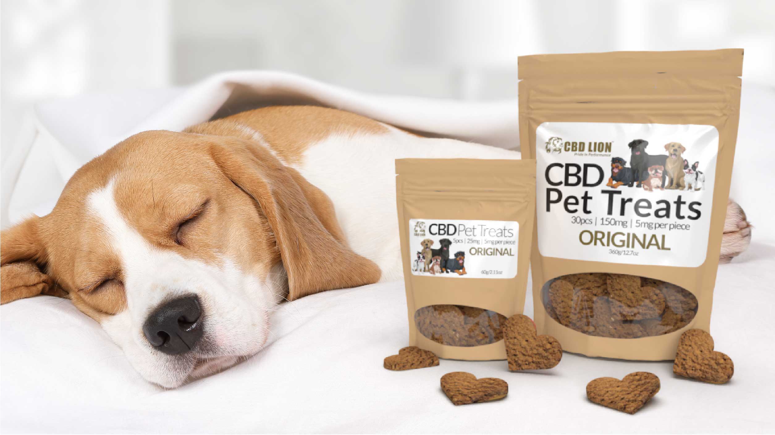 What Happens If I Give My Dog CBD Explained CBD LION