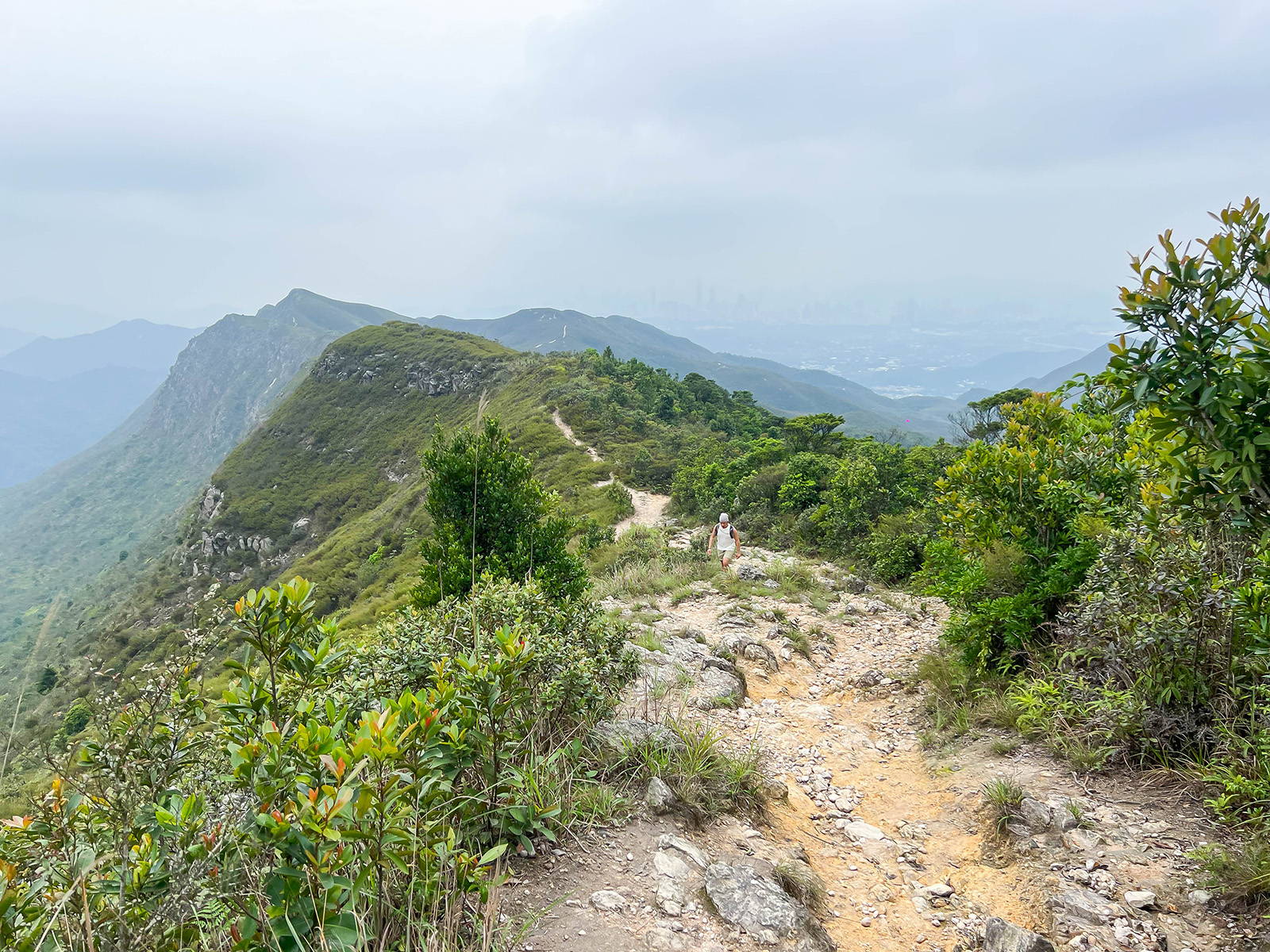 Wilson Trail Section 8&9 | San Uk Ka to Tai Mei Tuk