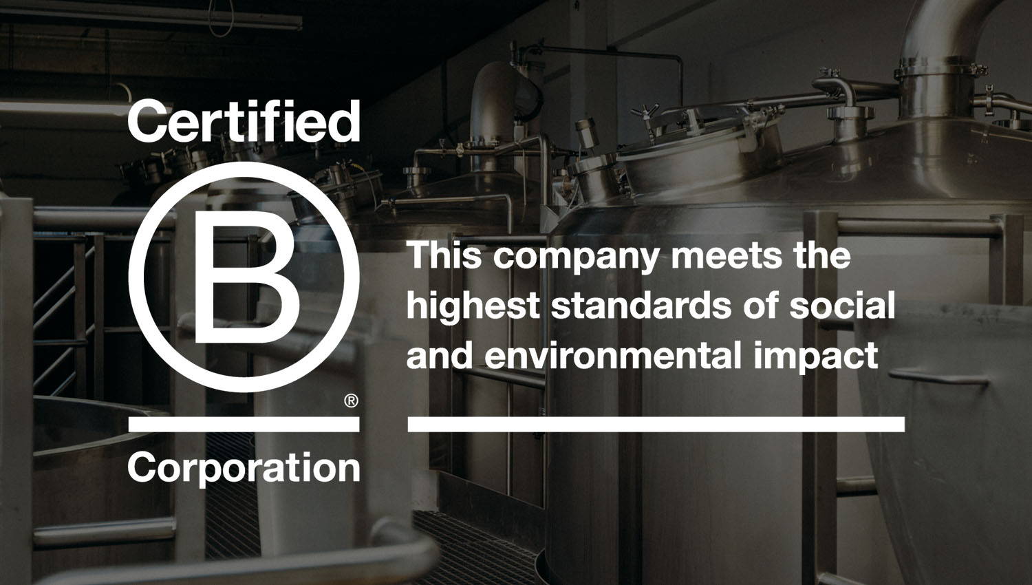 What is a B Corp Company & What Does It Stand For? | Small Beer Brew Co