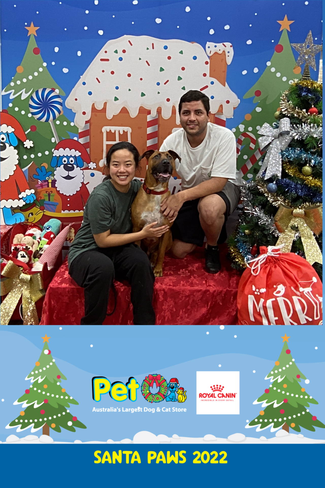 Santa Paws 2023