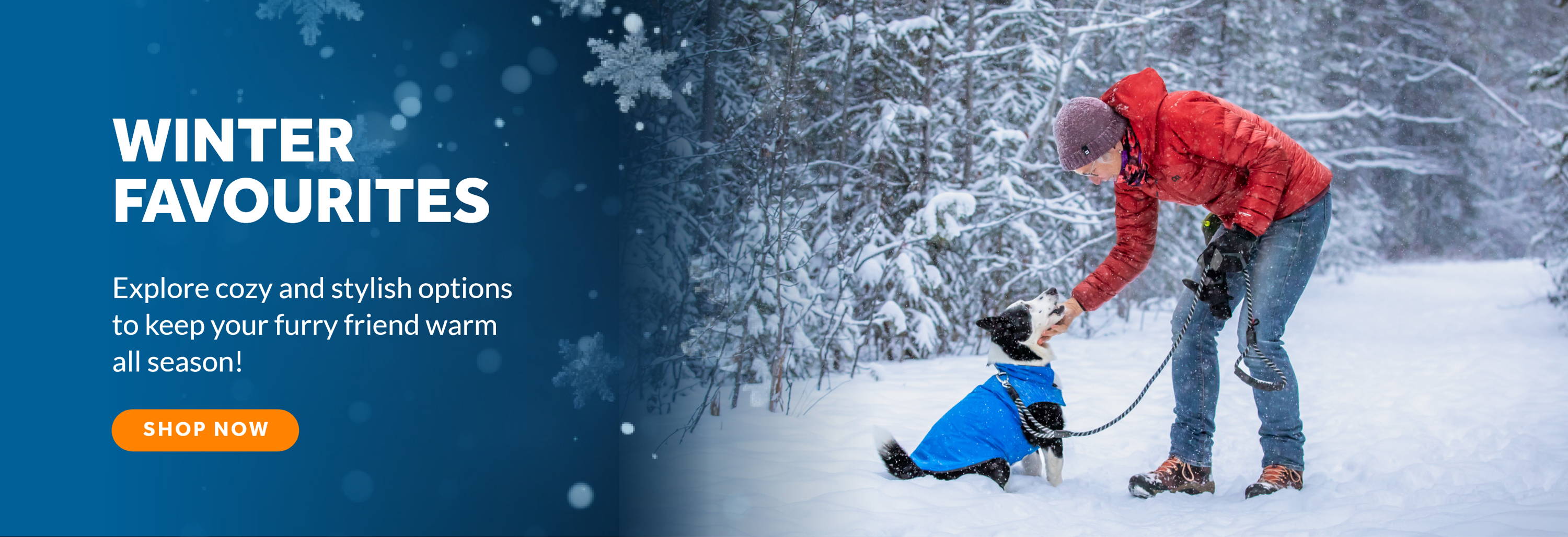 RC Pets Winter Favourites