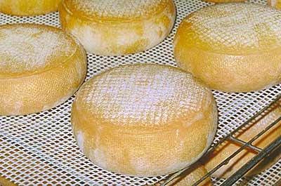 Cheese Makers Traveling Through France