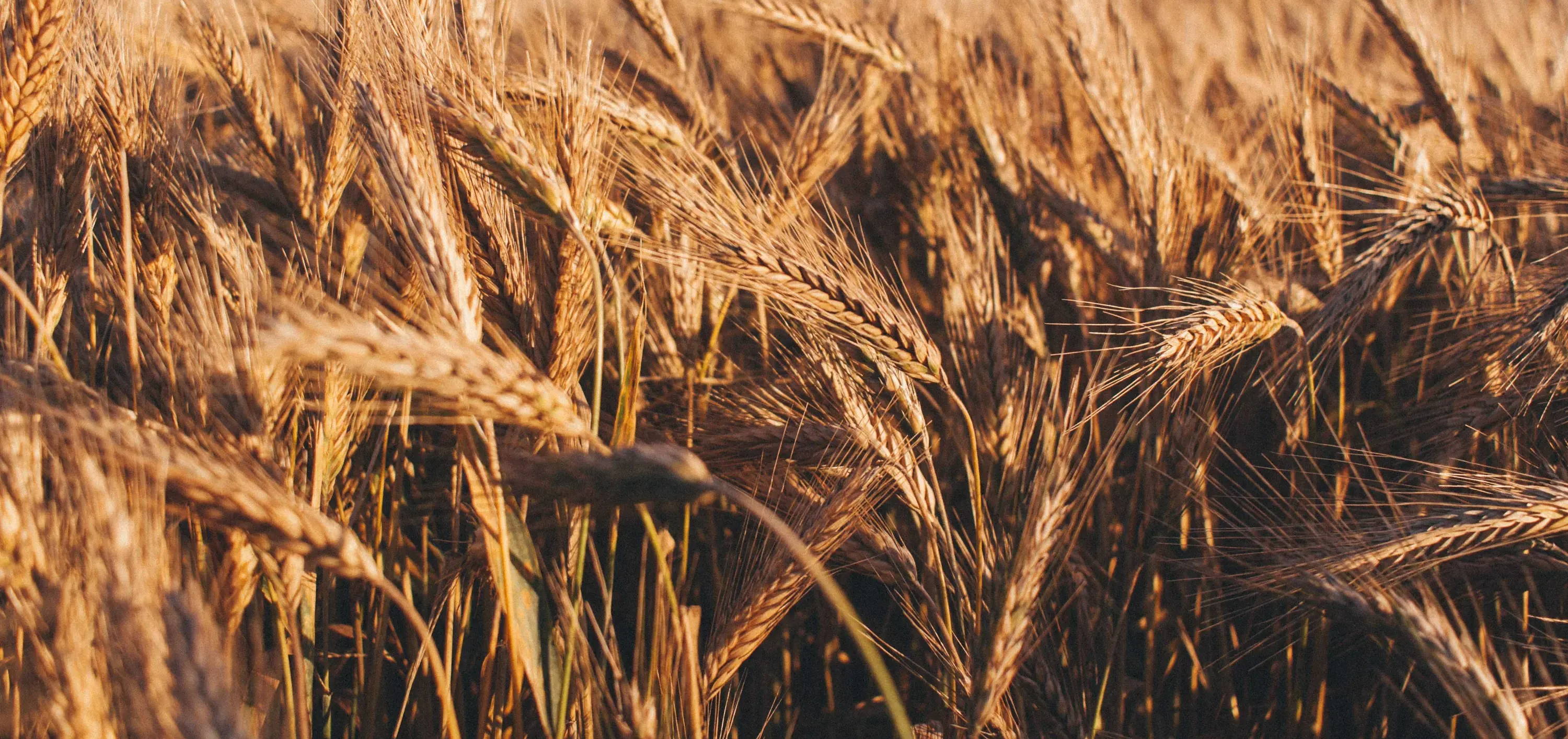 Our Sustainable Packaging Framework | Eco-Friendly Shipping Solutions