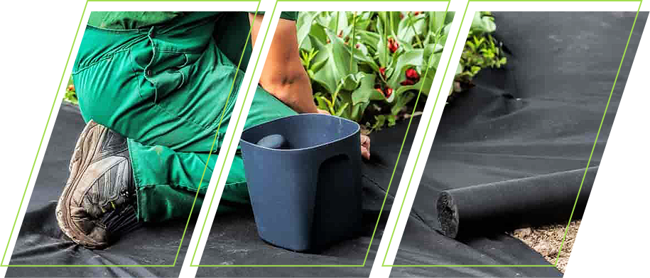 A Guide to the Best Landscape Fabric for Your Garden – ECOgardener
