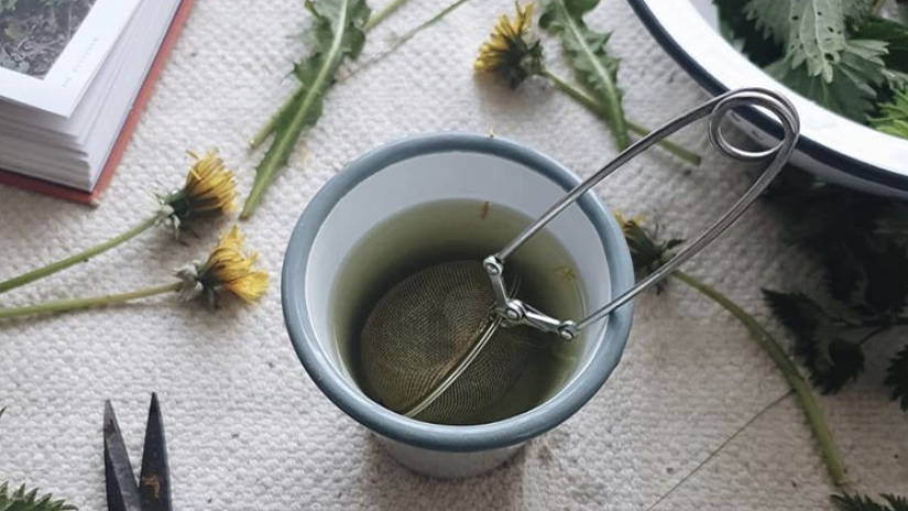 A Guide to Gathering Wild Edibles From Your Doorstep — Falcon Enamelware