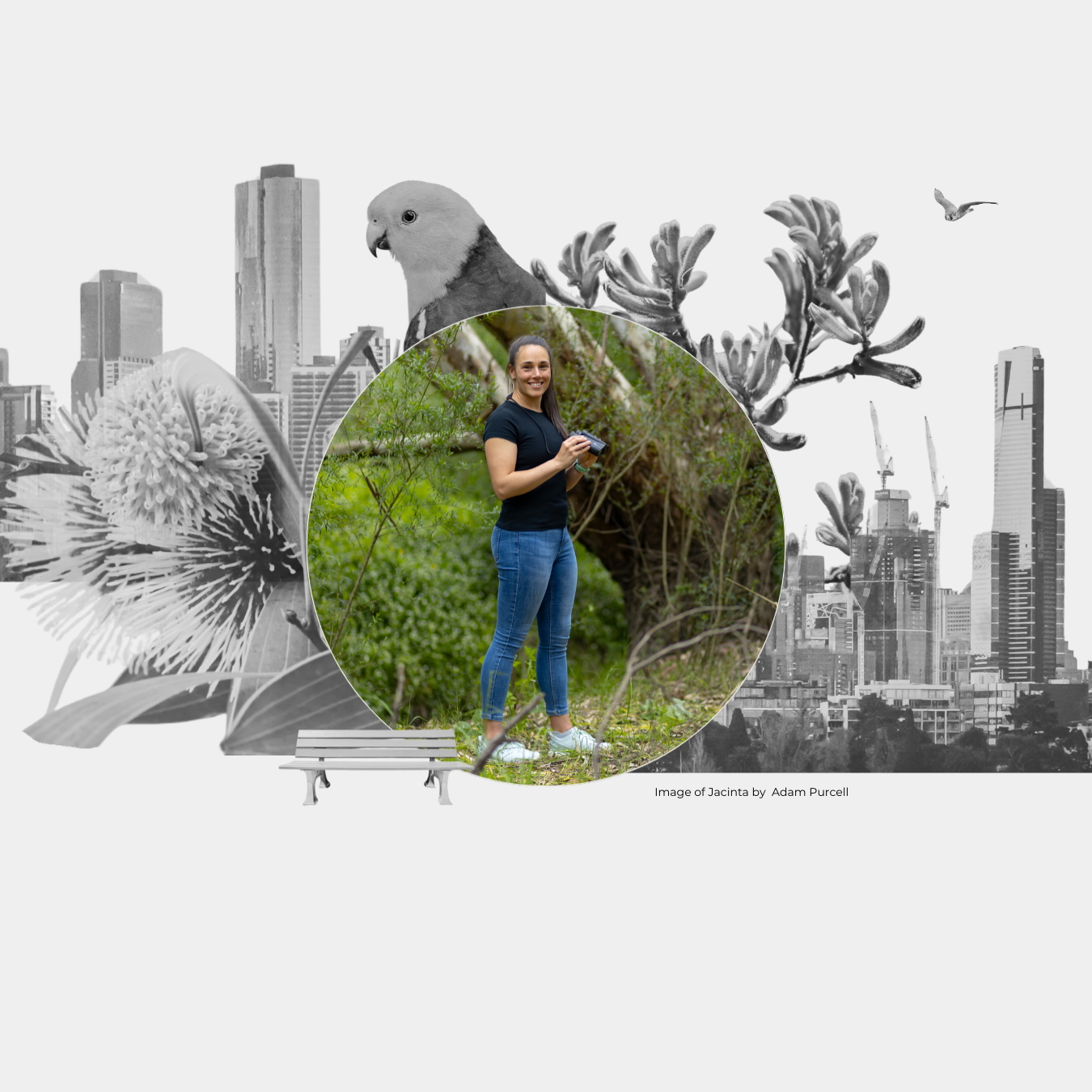 Dr Jacinta Humphreys on Birds | Bird Tales by LYFER