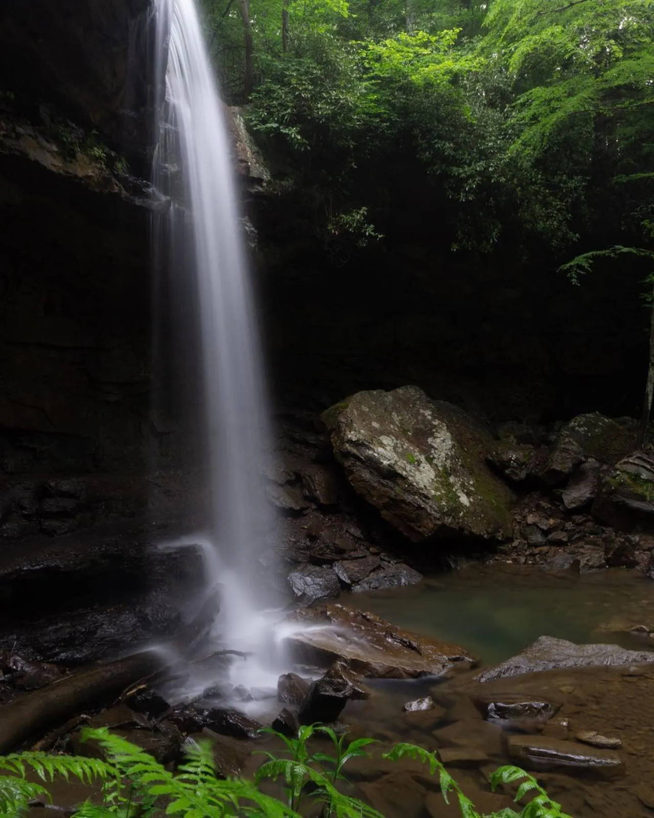 Cucumber Falls | Trail Information | Ohiopyle Co.