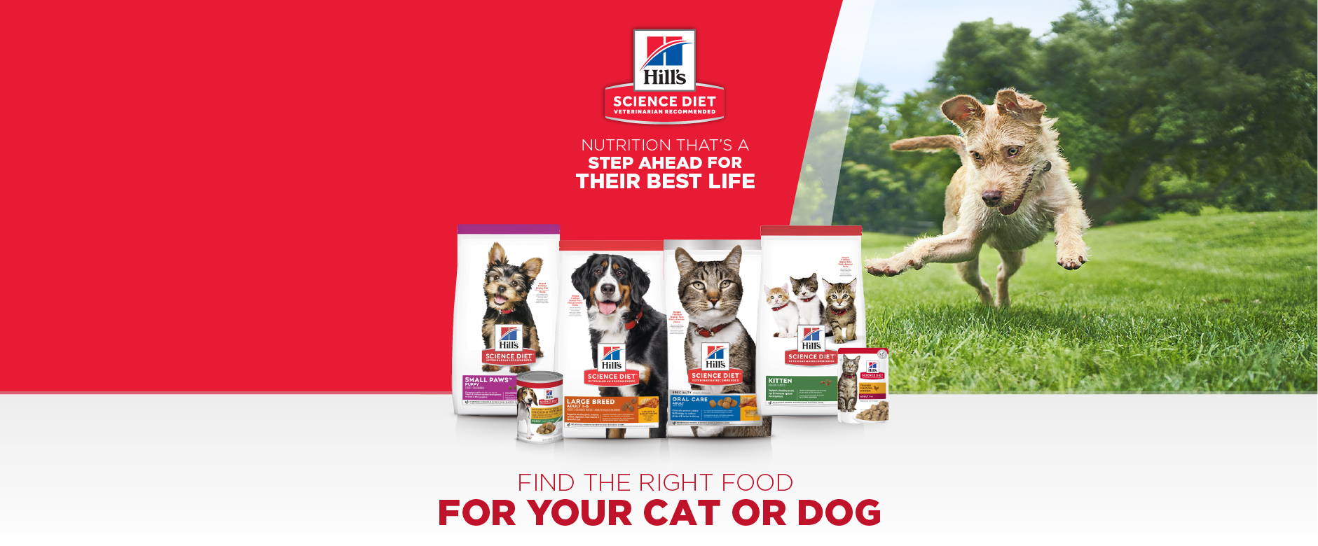Hill's Science Diet Cat & Dog Food