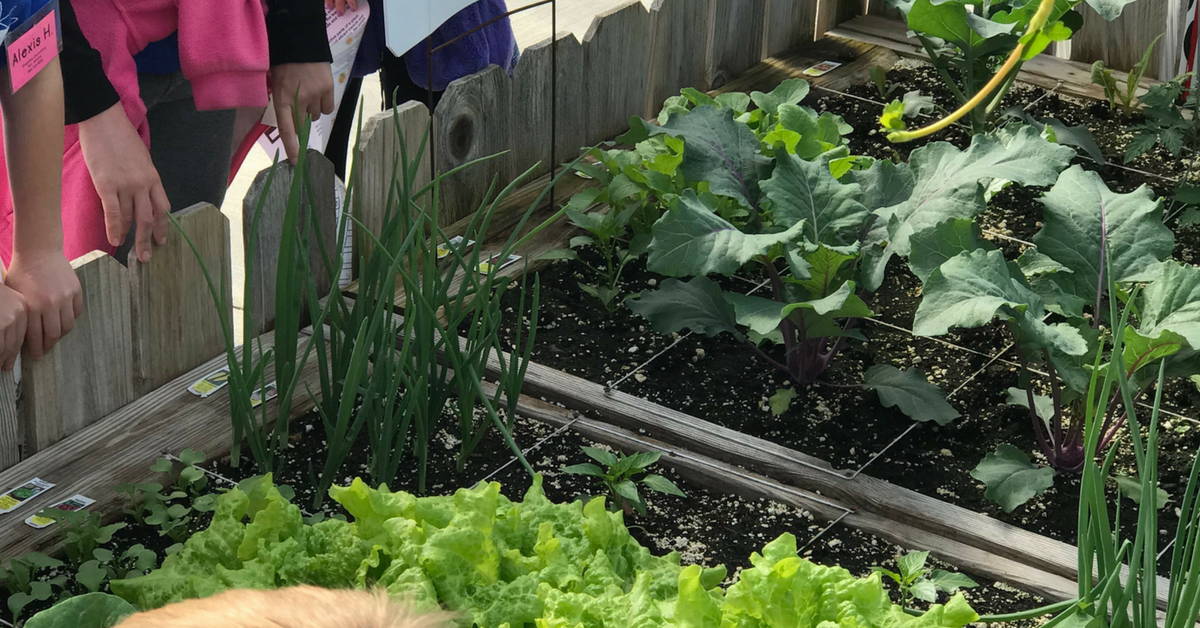 Spring Field Trip – Deneweth's Garden Center