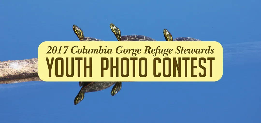 Photography Contests | Pro Photo Supply