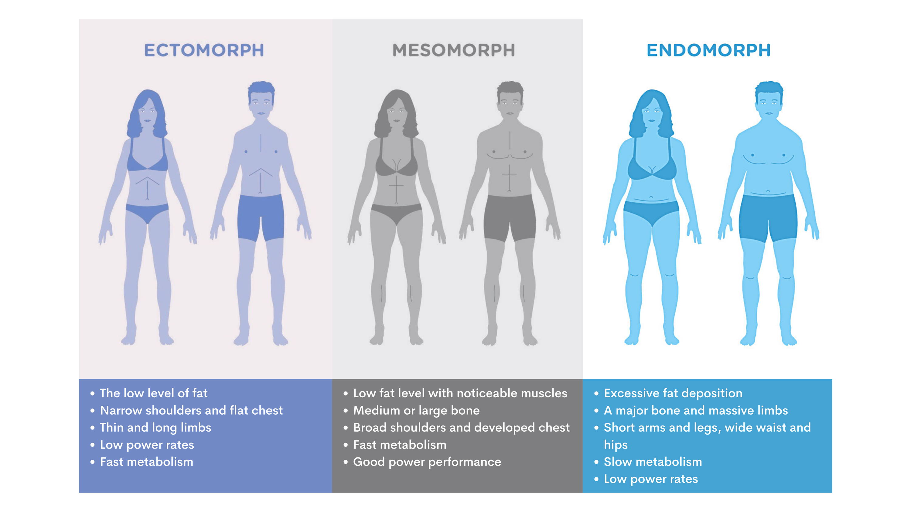Pin On Endomorph Mesomorph Atelier yuwa ciao jp