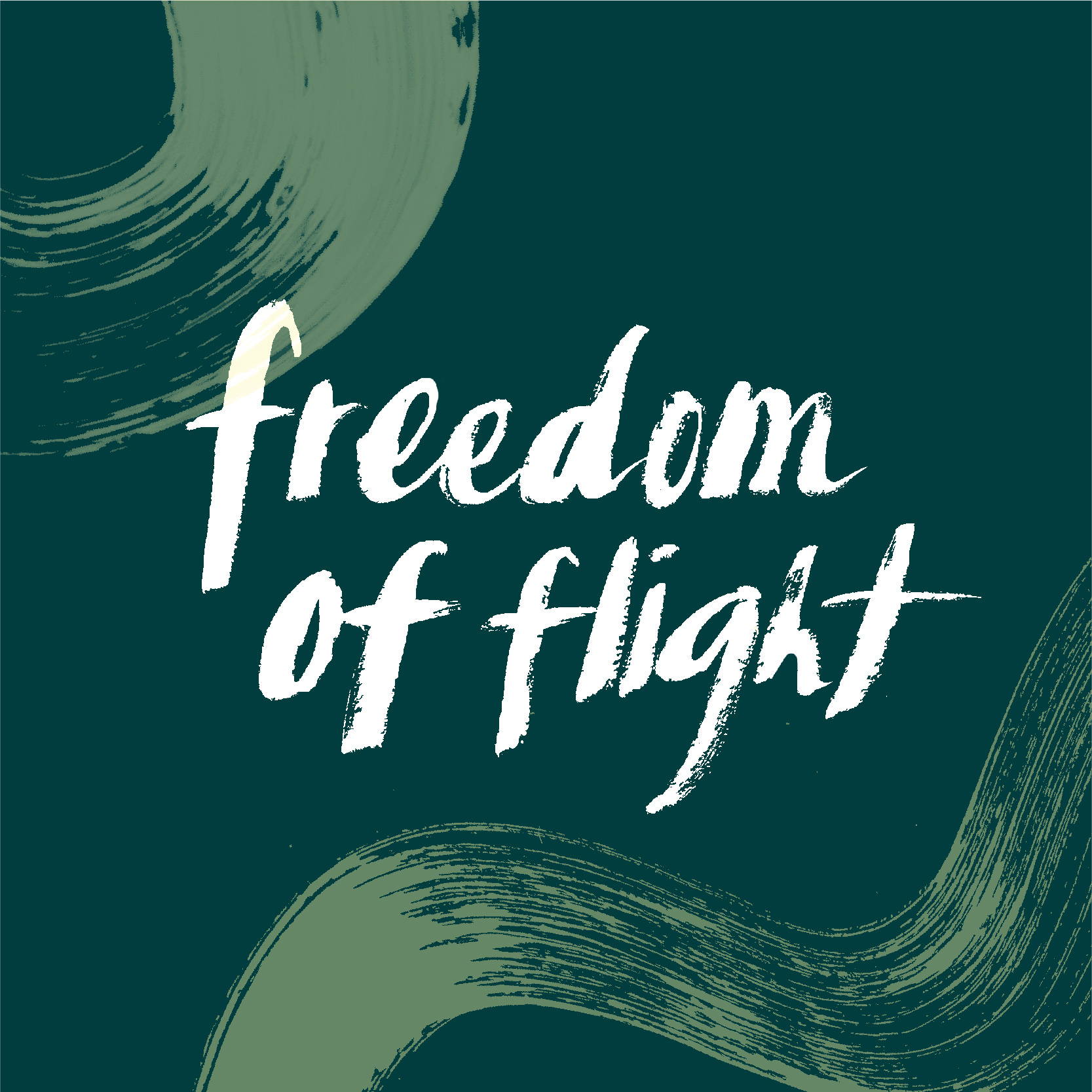 Freedom of Flight Pt. II – OISELLE