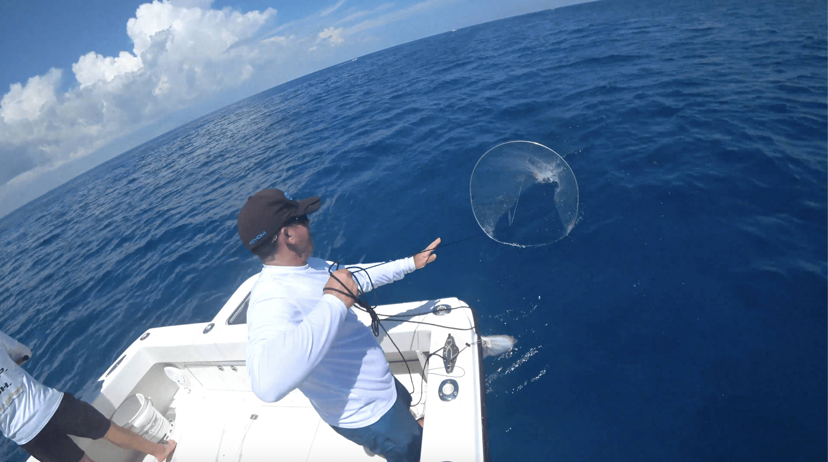 The BallyHoop Stealth | Collapsible Hoop Net