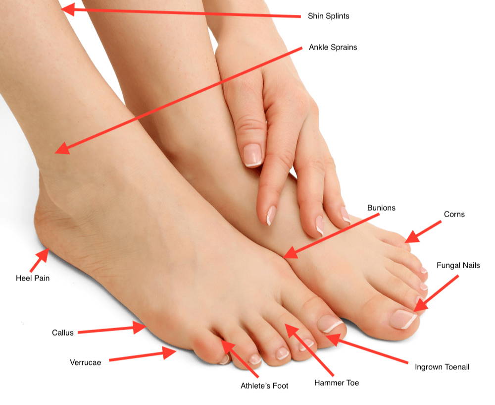 Foot Between