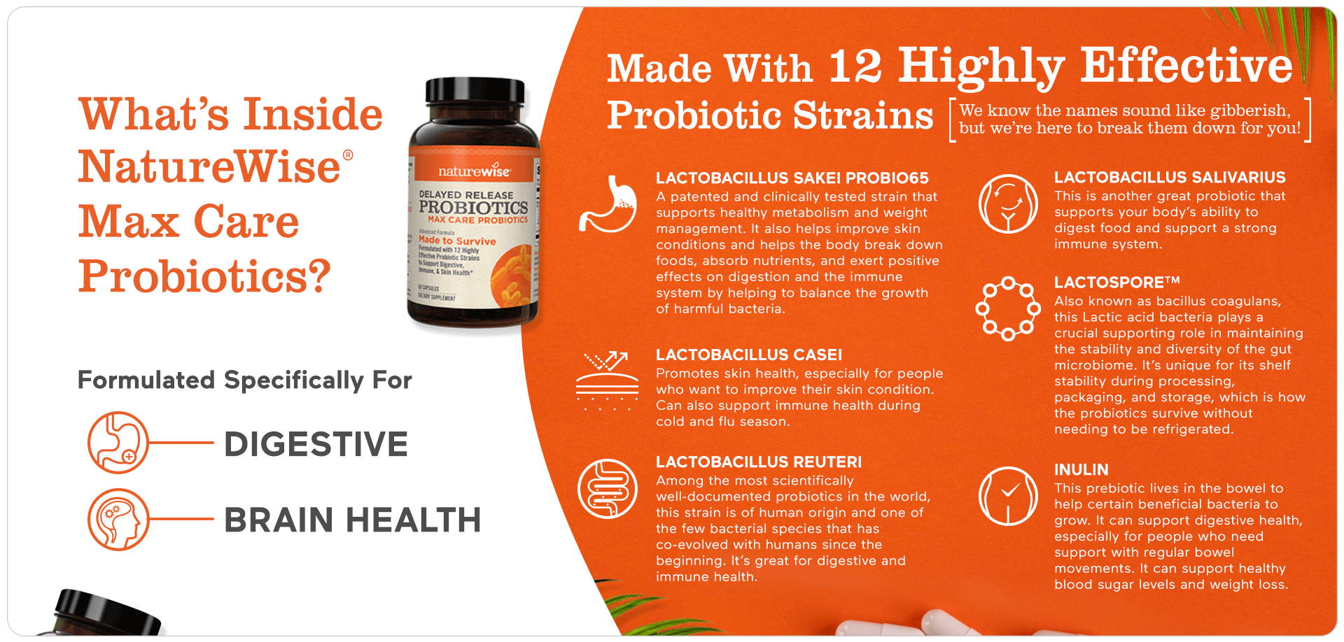 Max Care Probiotics – NatureWise