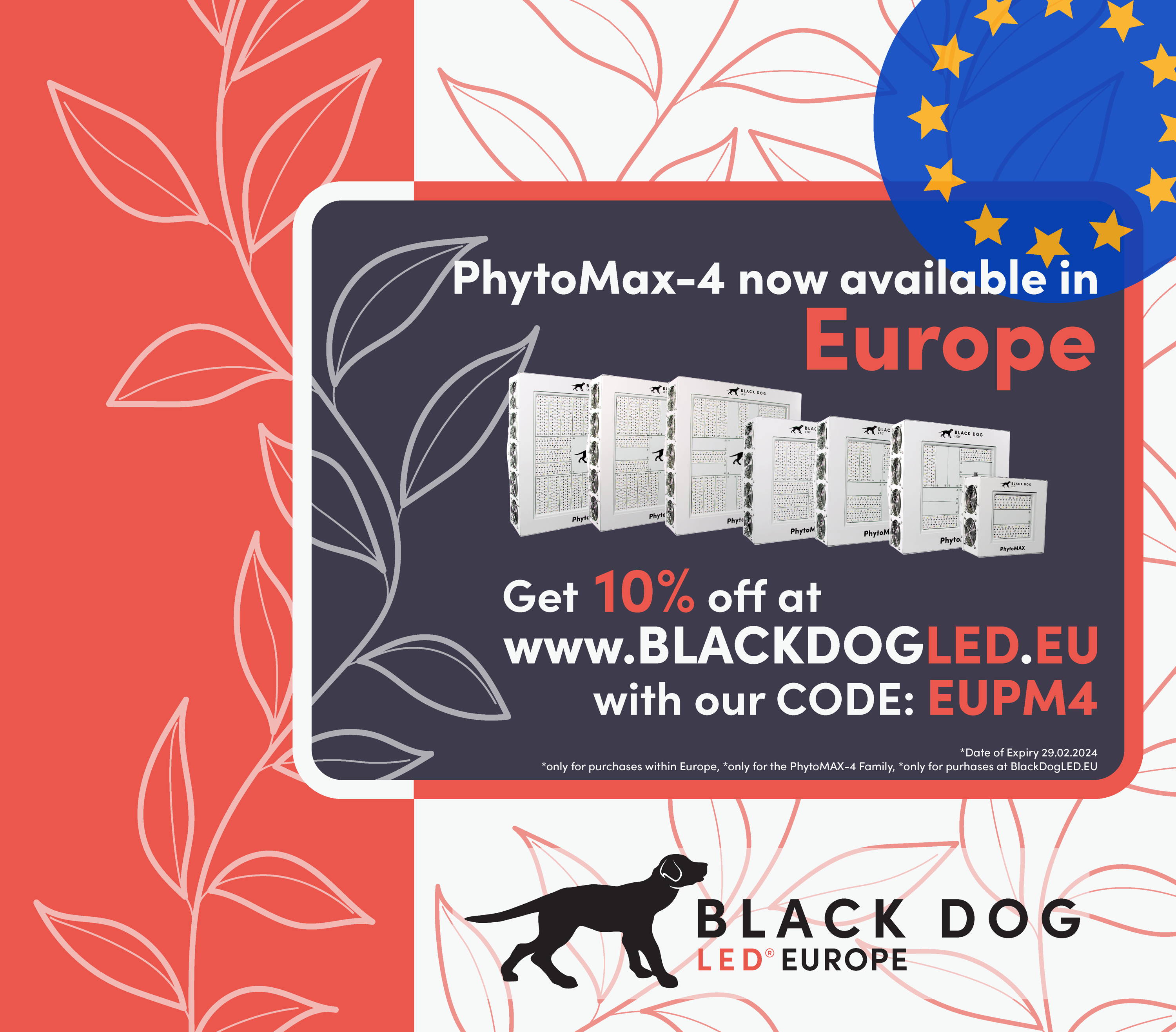 Black Dog LED