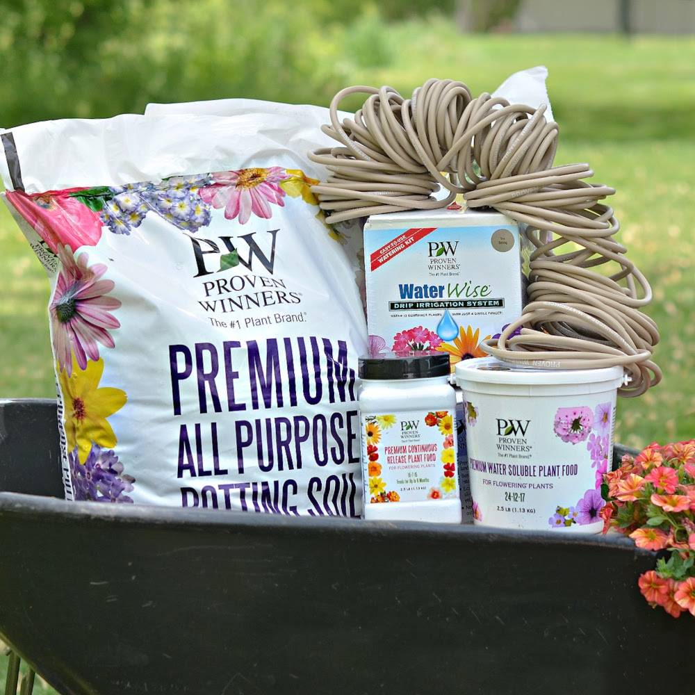 Proven Winners Direct™ | Proven Winners® Outdoor Plants Online