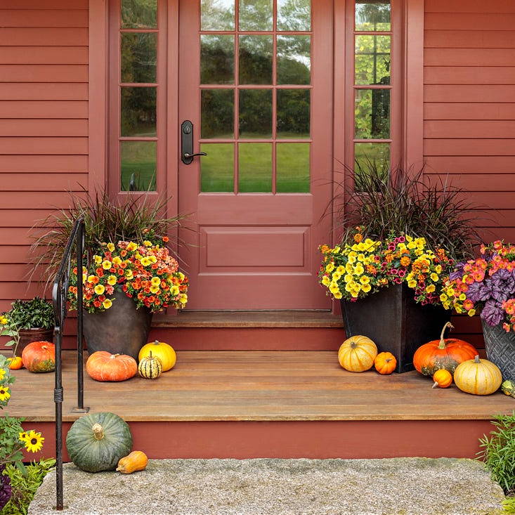 Proven Winners Direct™ | Buy Plants Online
