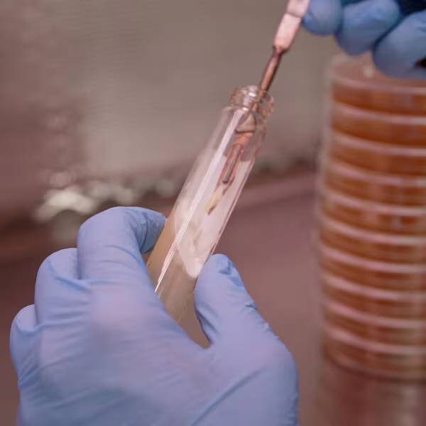 Mycology Lab Skills: Plates, Slants, & Liquid Culture | North Spore
